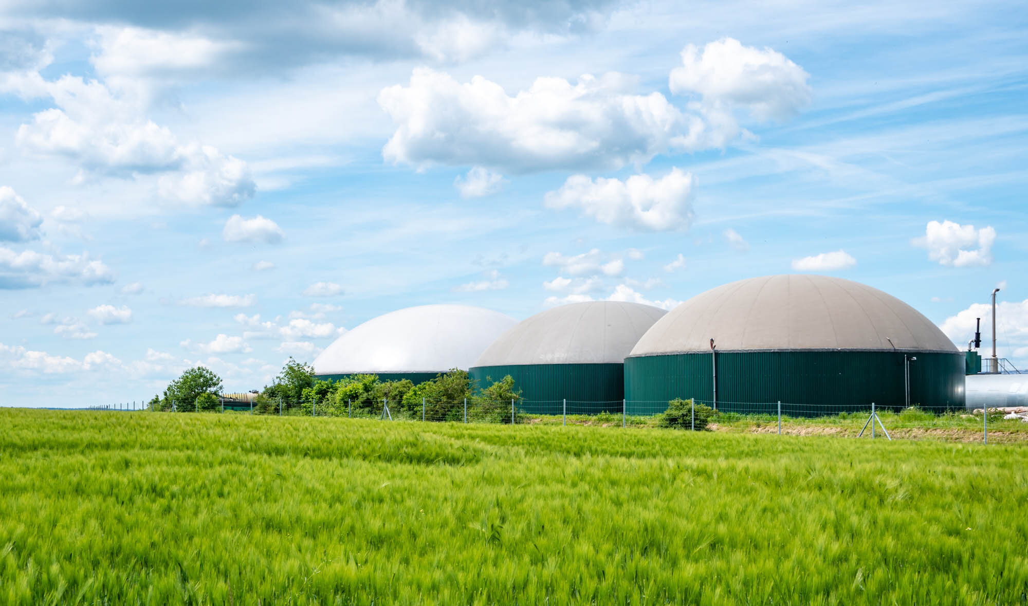 Biogas CHP | CHP for biogas plants | 2G Energy AG