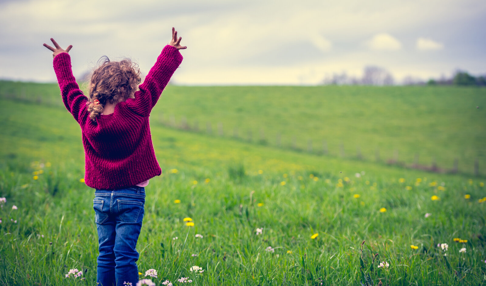 Management | Vorstand und Aufsichtsrat der 2G Energy AG : 2G Energy AG